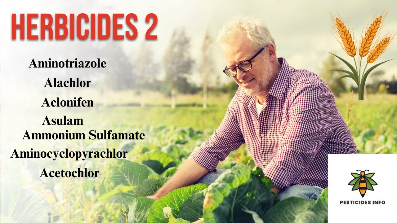 "Effective Herbicides 2: Understanding Aminotriazole, Alachlor ...