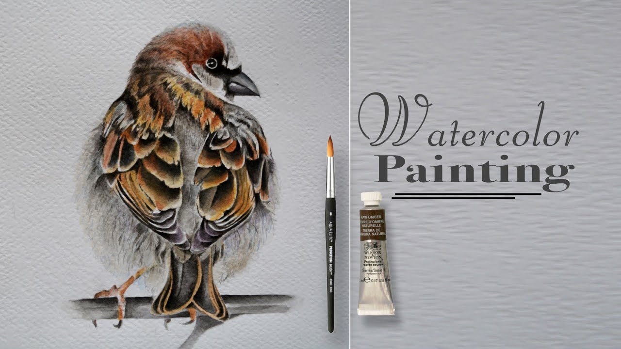 How to paint a Sparrow with watercolor | Sparrow Painting For Beginners ...