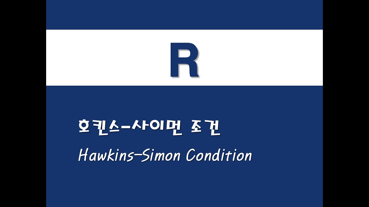 R을 활용한 산업연관분석 - (5) 호킨스-사이먼 조건(Hawkins-Simon Condition) - YouTube