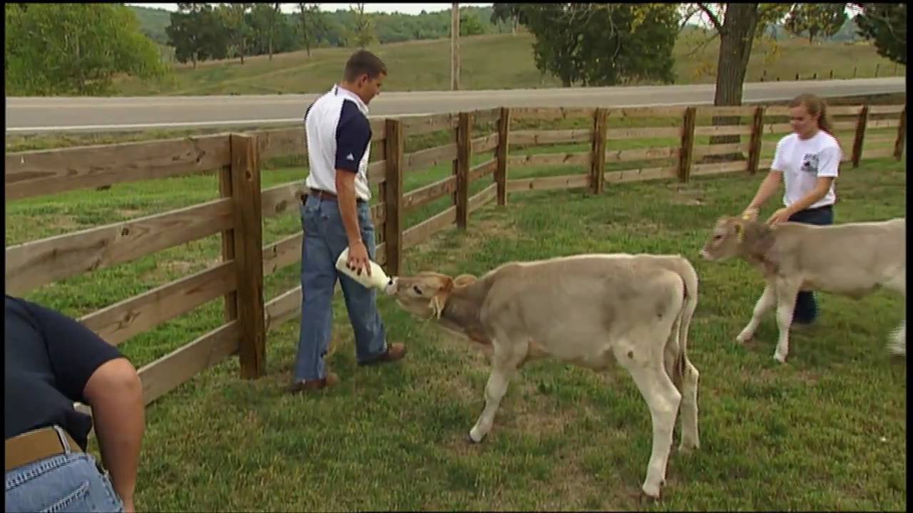 Hatcher Family Dairy | Tennessee Crossroads | Episode 2131.1 - YouTube