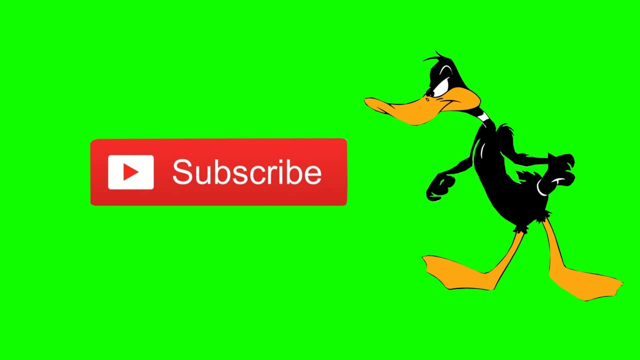 Subscribe Duck cartoon animated in green screen free stock footage ...