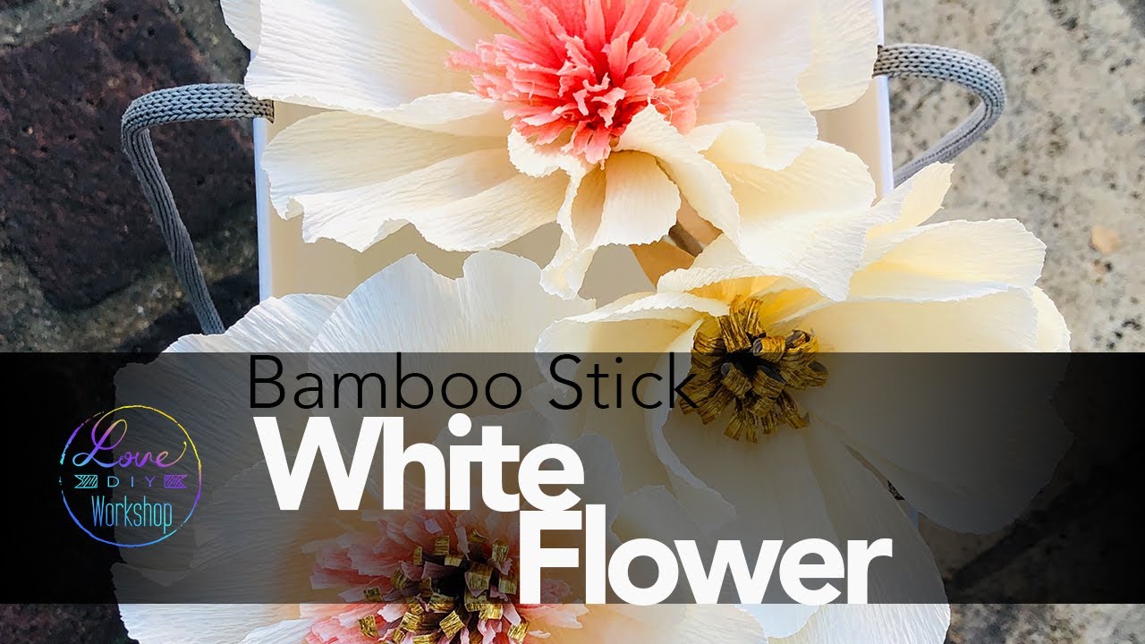 Bamboo Stick White Flower - YouTube