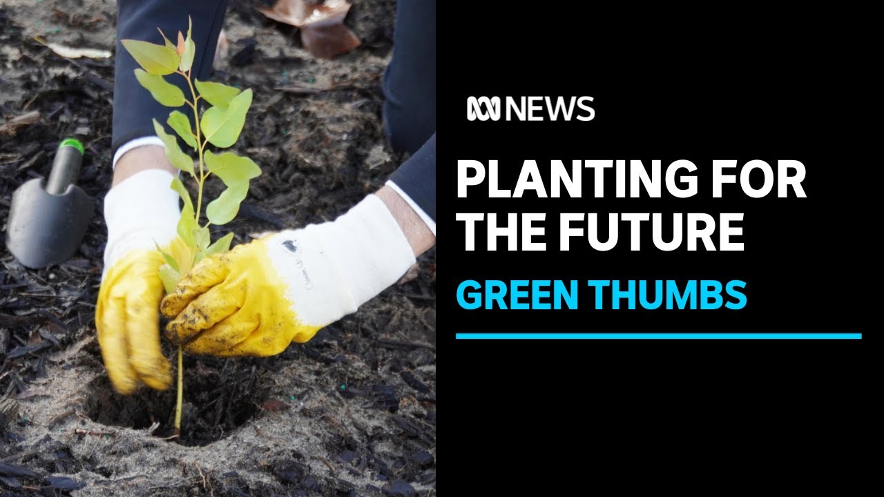 Thousands of new seedlings to grow Perth's tree canopy | ABC News - YouTube