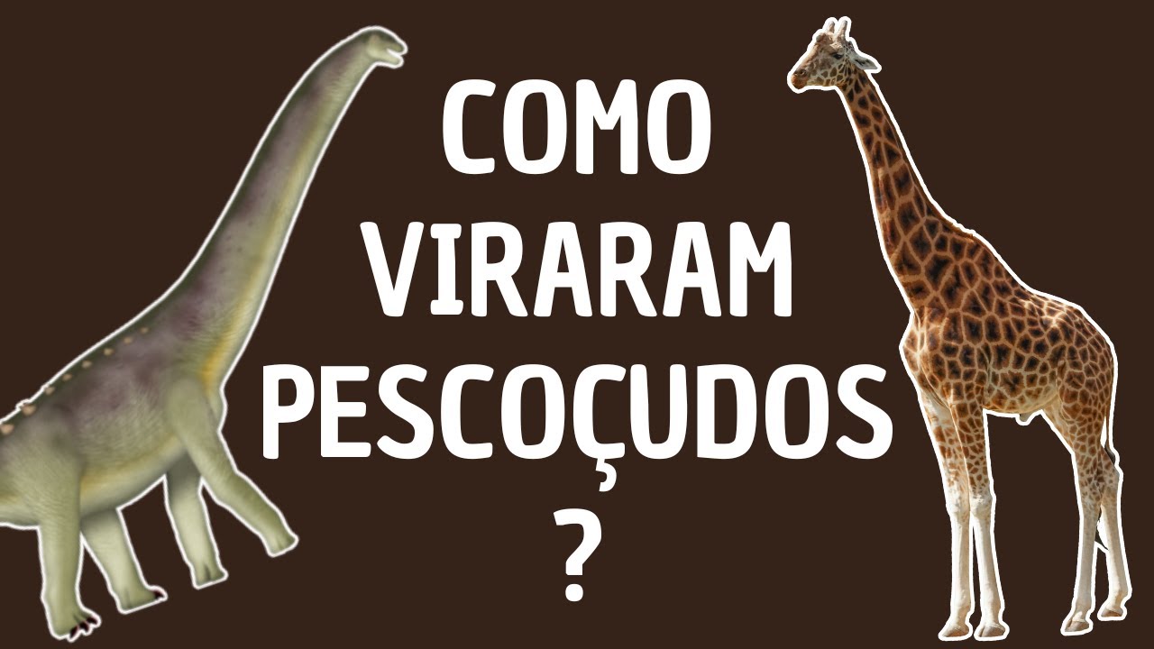 Evolução do pescoço comprido das GIRAFAS e dos DINOSSAUROS SAURÓPODES ...