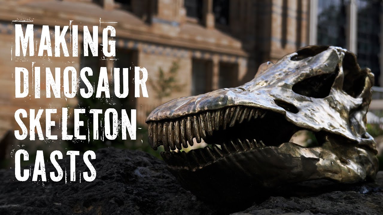 Creating Casts Of Dinosaur Skeletons - YouTube