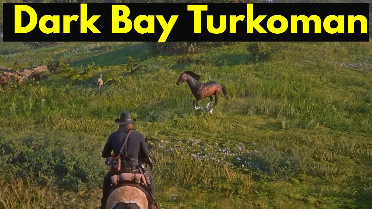 Dark Bay Turkoman for Arthur, Red Dead Redemption 2 short version May ...