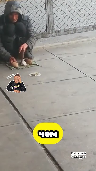 Повелитель крыс 😳 - YouTube