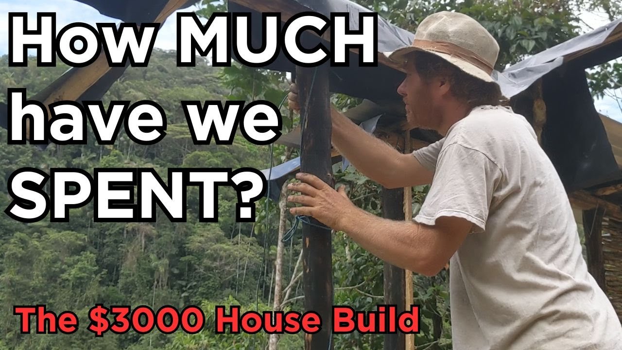 The $3000 House Build | ACCOUNTING and WALLS - Natural home build ...