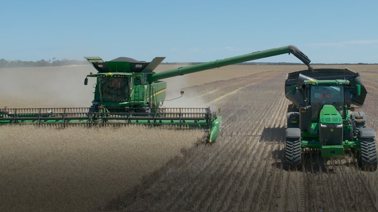 Extreme Canola Harvest │Western Australia │4K - YouTube