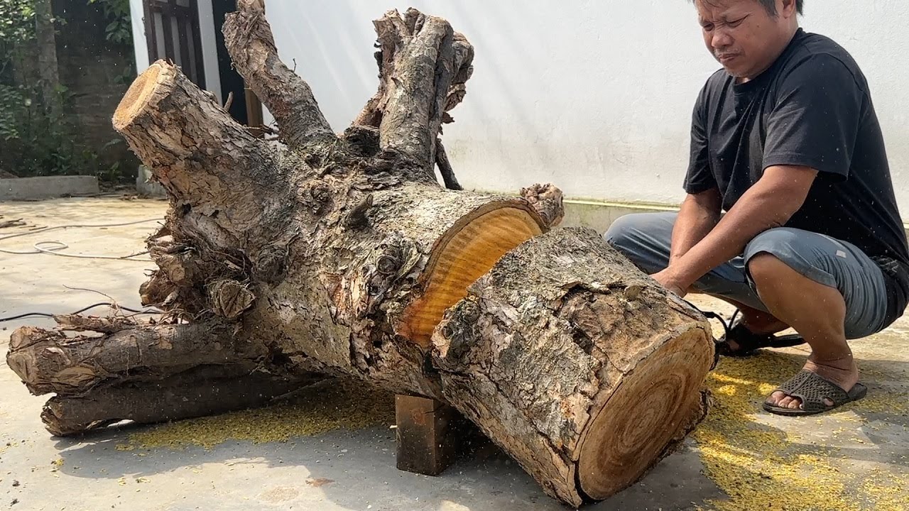 Woodworking Ideas Perfect For Woodworking Projects Easily From Dry Tree ...