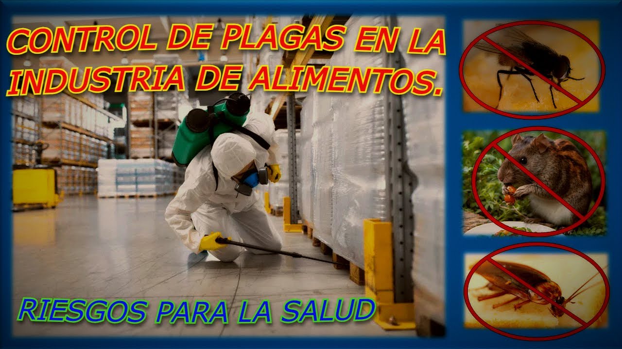 Publicidad De Control De Plagas Control De Plagas , Plantillas De