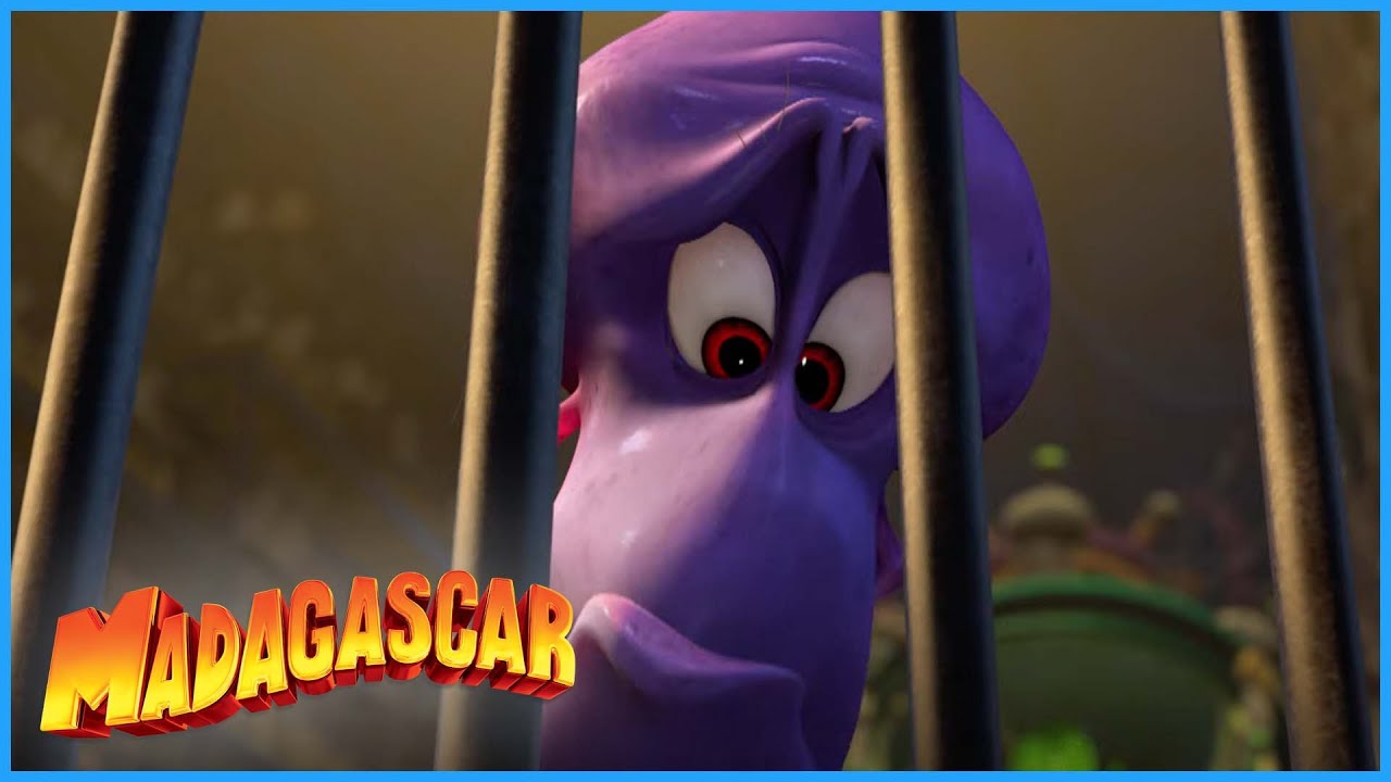 Dave wants to get out of jail | Penguins of Madagascar - YouTube