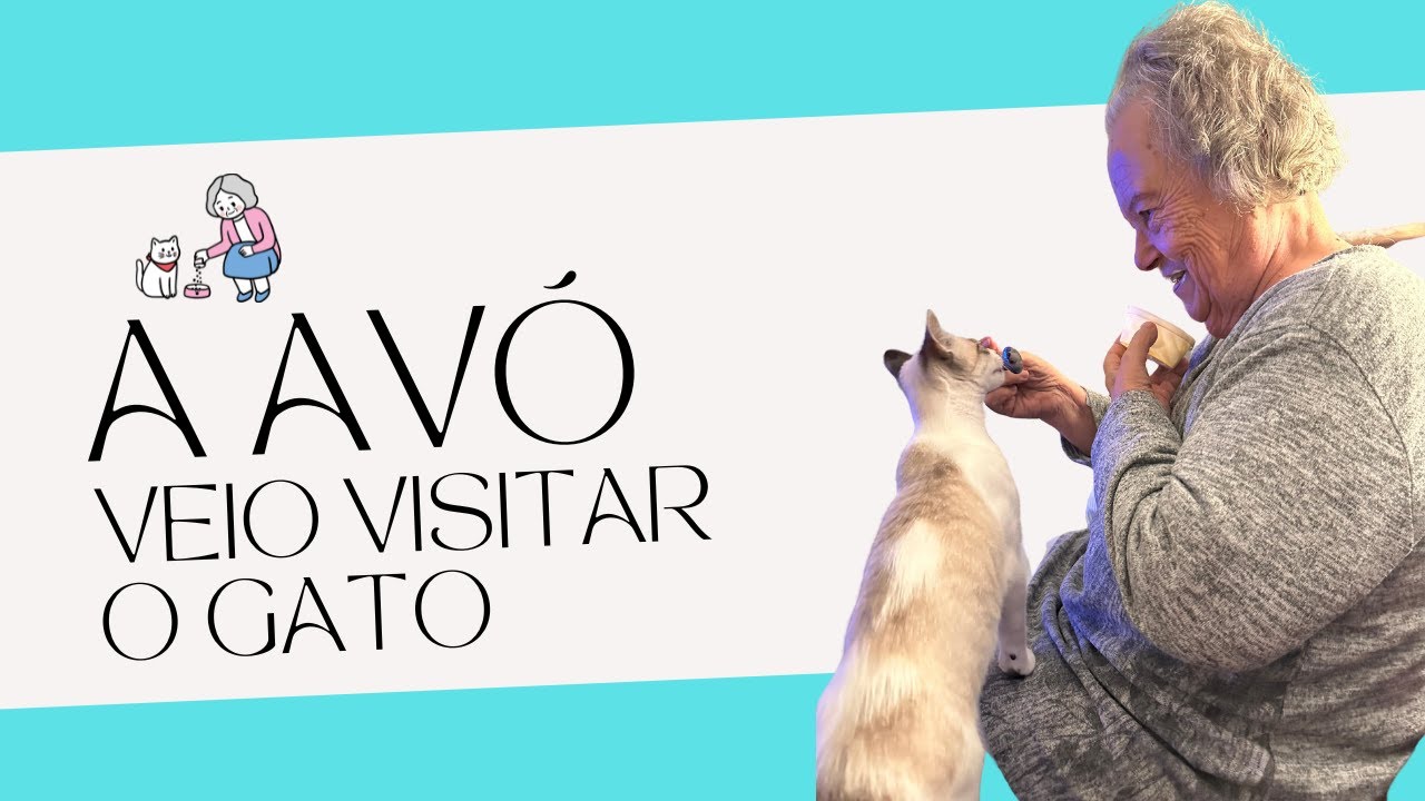 🎁 A avó veio visitar o Gato e fazer um giveaway - YouTube