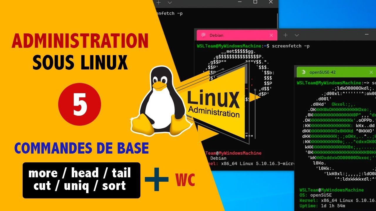 Ep 5 Commandes De Base Linux More Head Tail Cut Uniq Sort Wc B Darija Youtube 5310