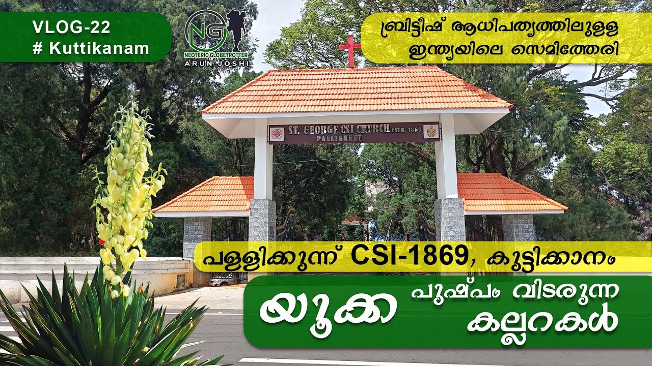 യുക്കാ വിടരുന്ന ബ്രിട്ടീഷ് കല്ലറകൾ | Yucca Flower | CSI Pallikunnu ...