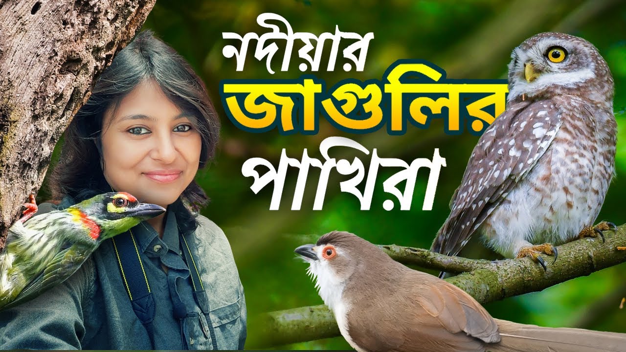 নদীয়ার পাখি দেখার ঠিকানা জাগুলি | Jaguli Grassland Birds | Nadia Birds ...