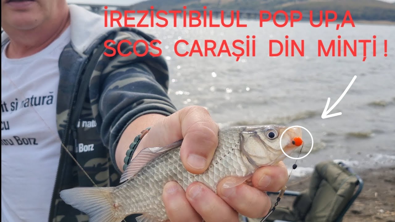 Pescuit la caras cu un pop up de nerefuzat! - YouTube