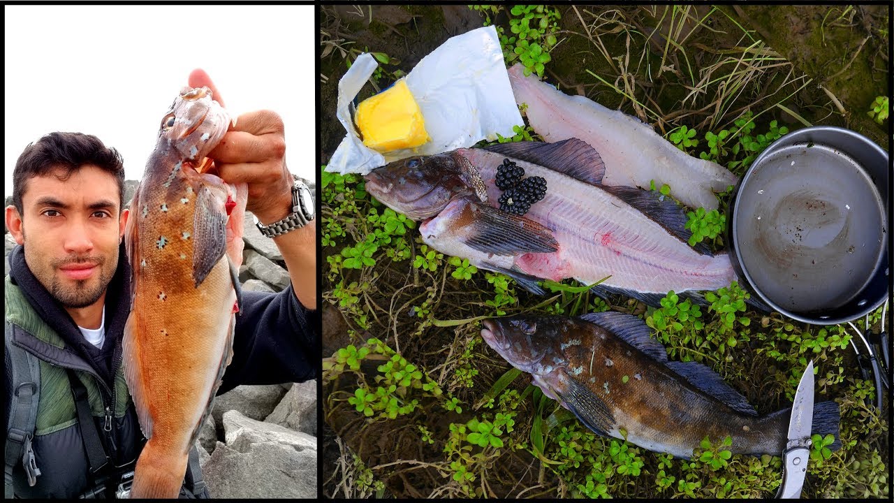 FINAL Day CATCH AND COOK!! Blackberry Butter Fish **SOLO 1,600 Mile ...