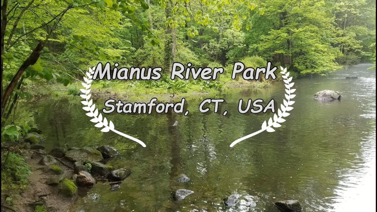Mianus River Park, Stamford, CT ( One of The Best Parks in Stamford ...