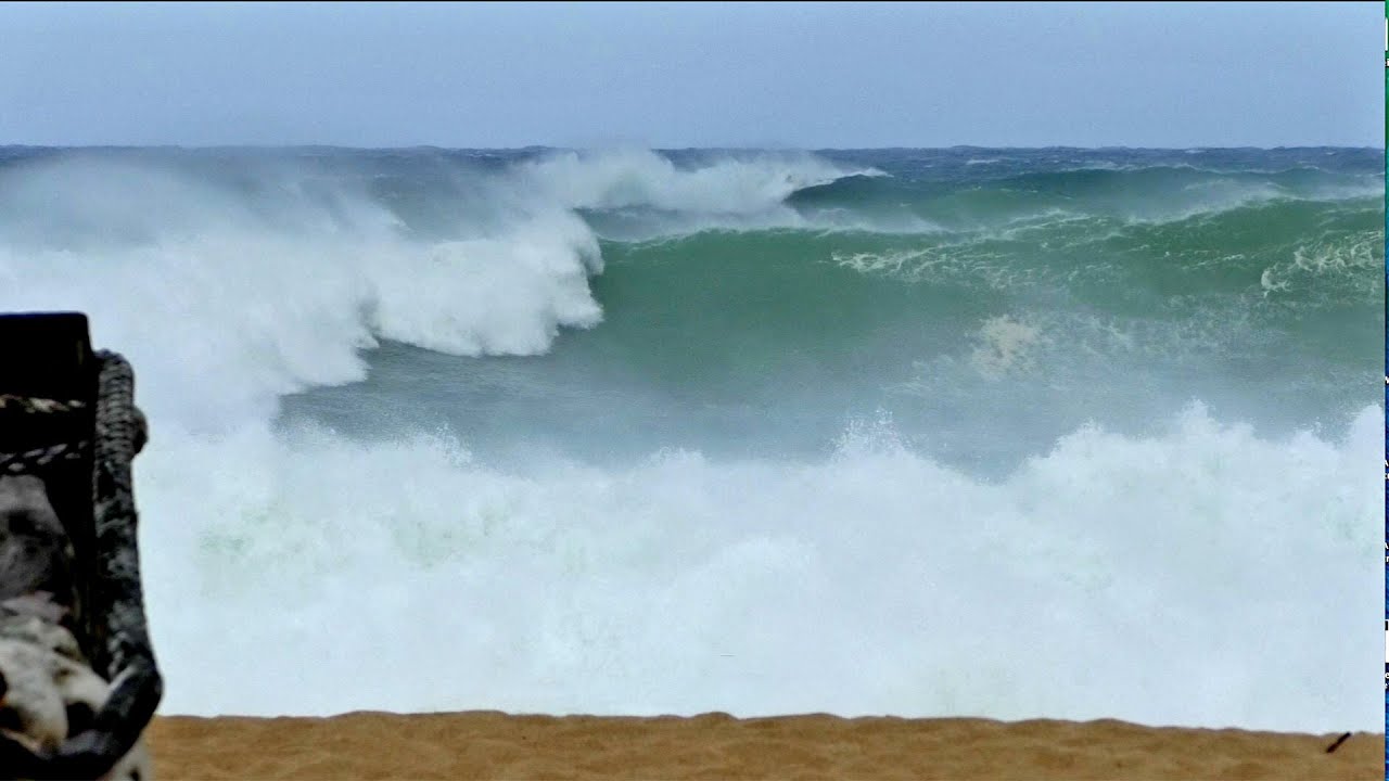 High Surf Warning / Wind Advisory 24Nov2022 - LIVE - YouTube