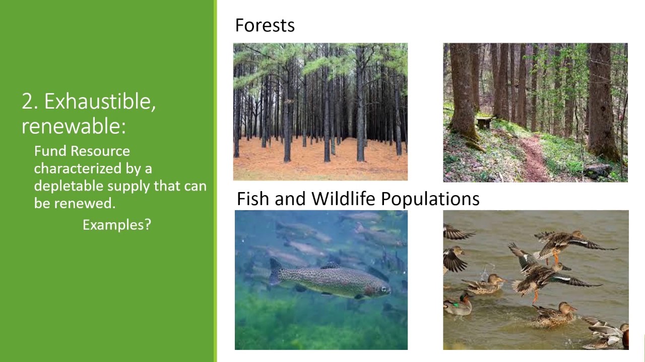 Scarce, Flow and Fund Resources (Principles of Natural Resources ...