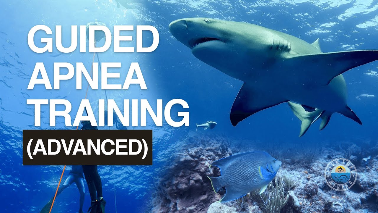 Guided Apnea Training (Advanced) - YouTube