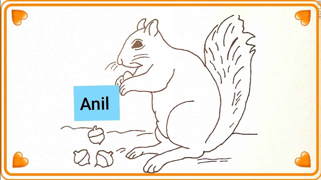 How to draw a Anil - YouTube