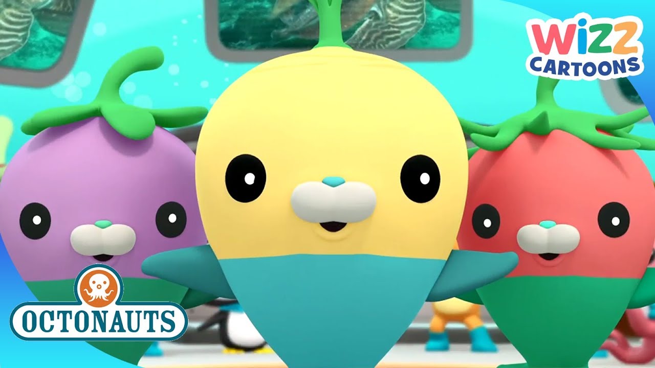 @Octonauts - Magic Cuttlefish | Compilation | Wizz Cartoons - YouTube
