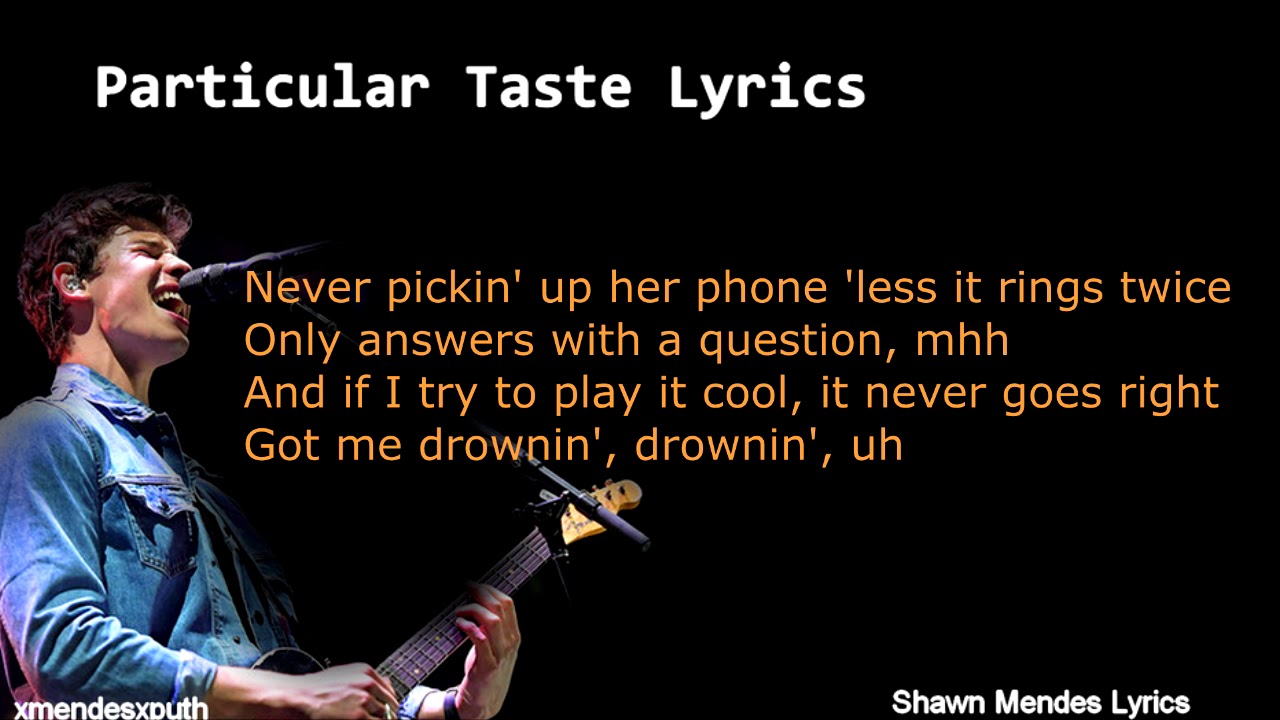 Shawn Mendes - Particular Taste ( Lyrics ) - YouTube