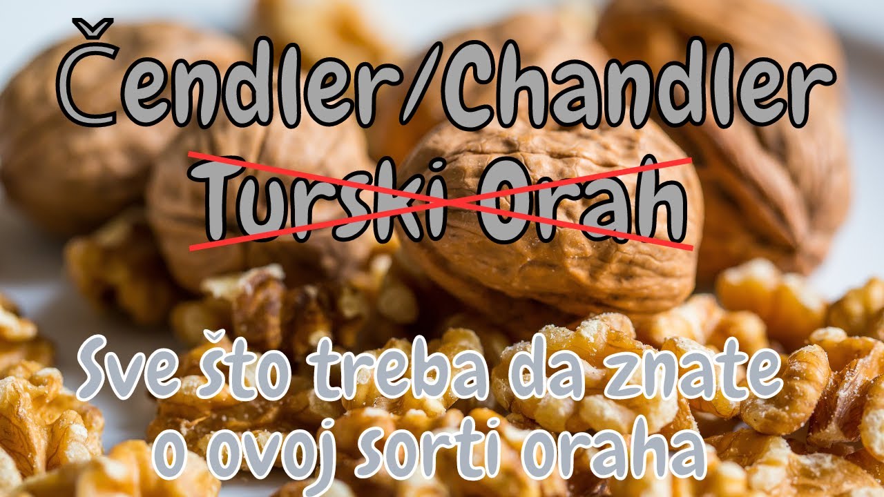 Orah Čendler / Chandler - Sve što treba da znate o ovoj sorti oraha ...