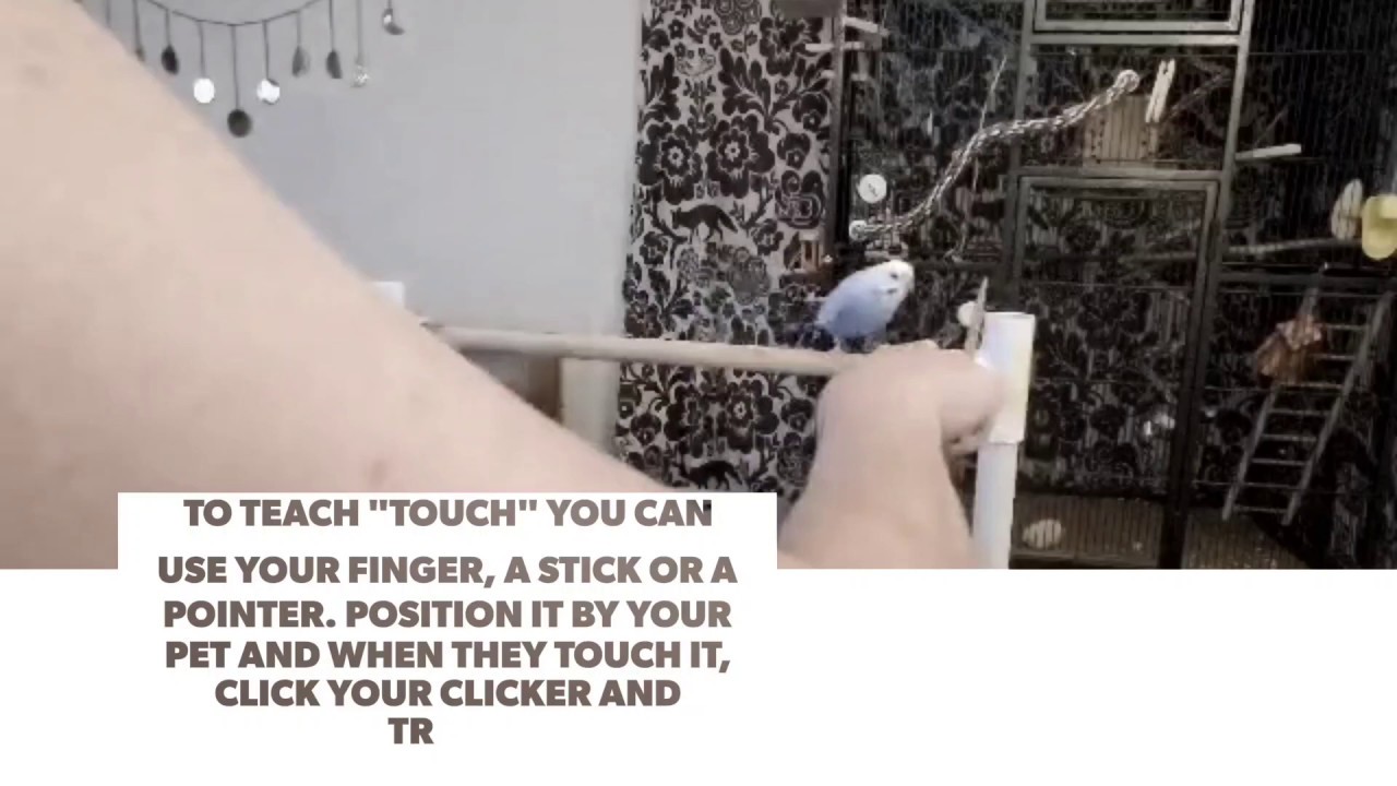 Tricky Thursday - Touch - YouTube