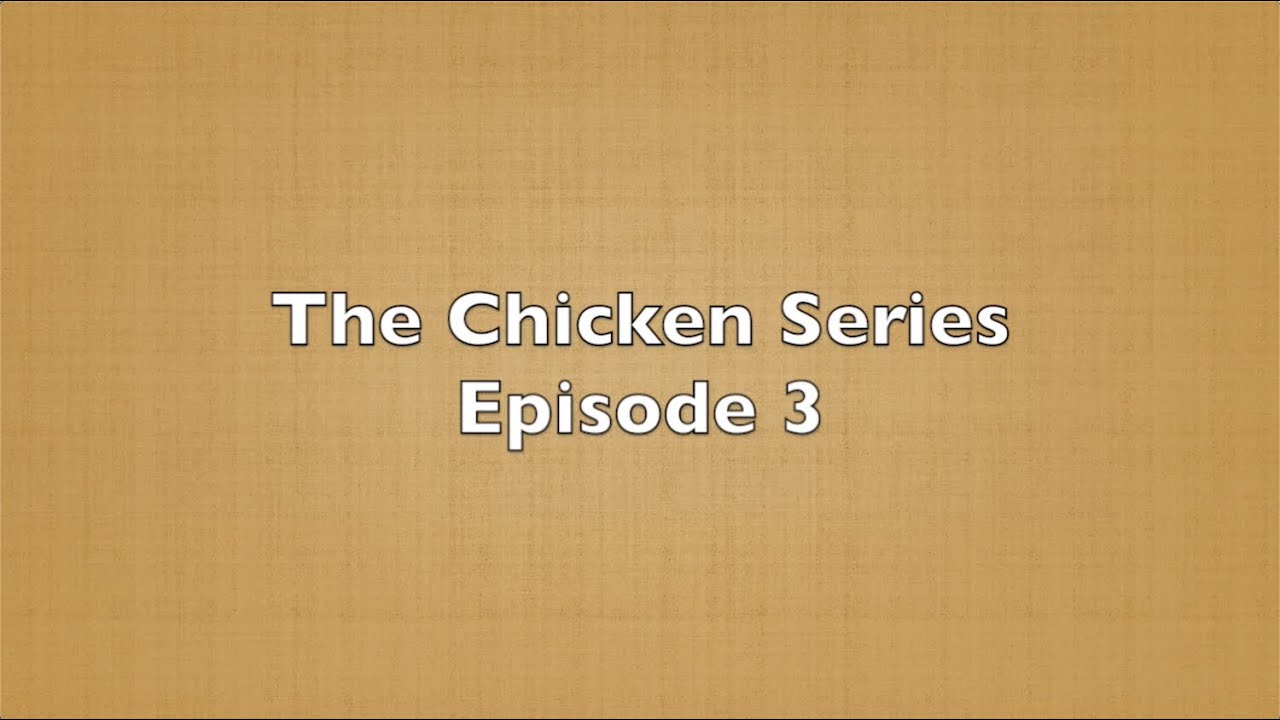 The Chicken Series: Episode 3 - YouTube