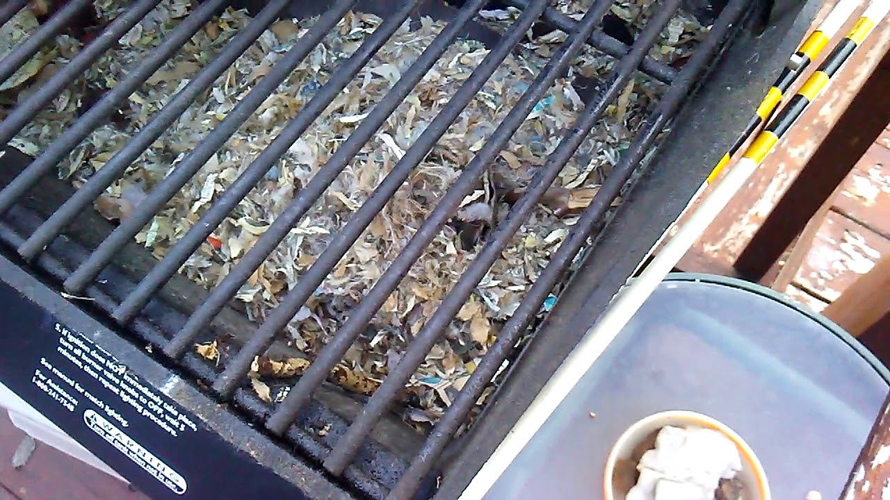 Chipmunk in my grill. - YouTube