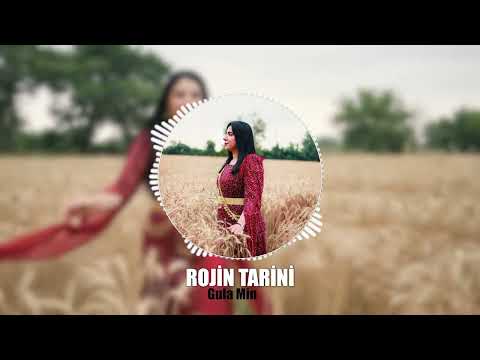 Rojin Tarini Gula Min