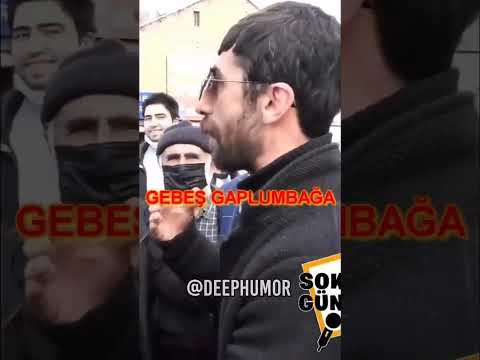 Bana anlat bana anlat gebeş kaplumbağa millet sana kanalize mi olacak