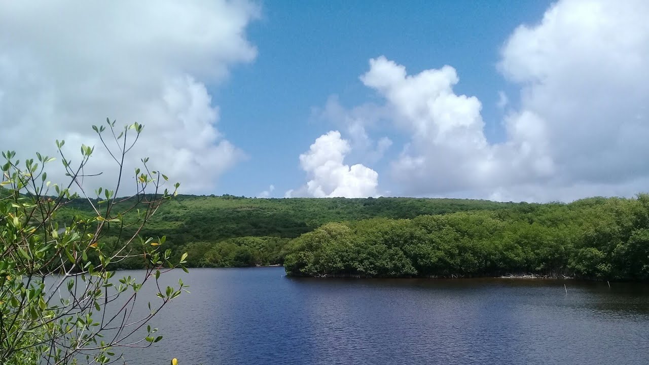 Grenada: Levera Pond - YouTube