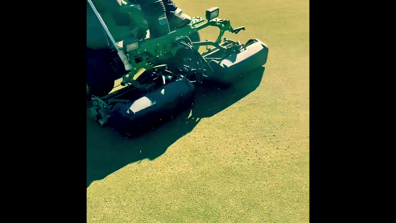 Needle Tining the Greens 2020 - YouTube