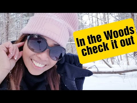 The Ancaster Trails , check it out - YouTube