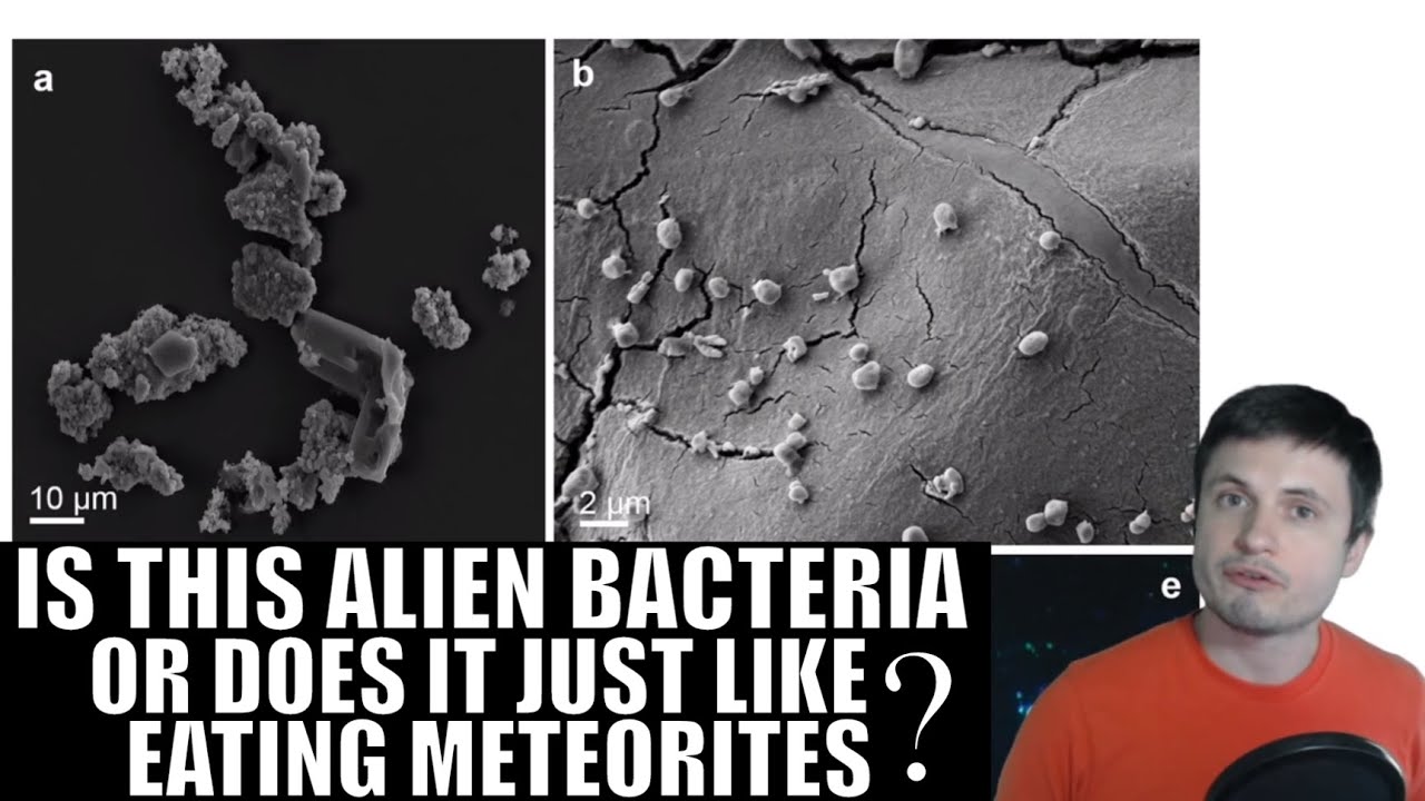 Did We Find Alien Bacteria or Do Meteorites Just Taste Better? - YouTube