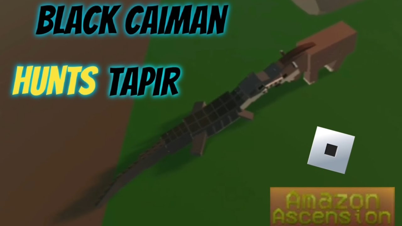 black caiman vs tapir (amazon ascension) - YouTube