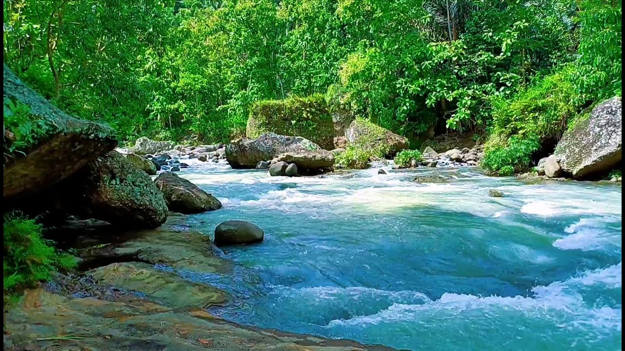 Peaceful River Sounds for Deep Relaxation Calming Water Ambience. - YouTube
