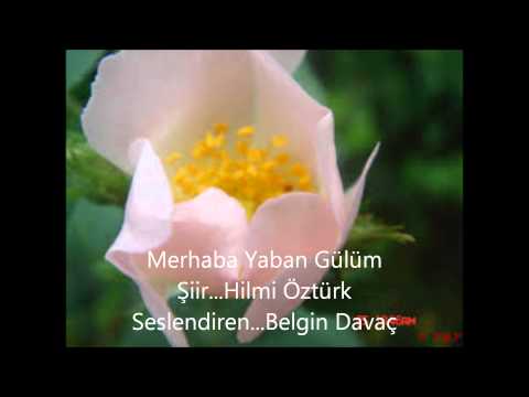 merhaba yaban gülüm belgin davaç hilmi öztürk