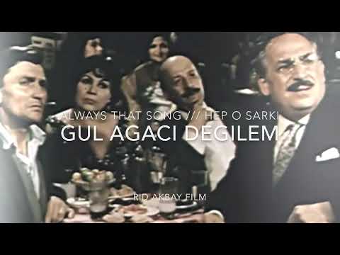 Gul agaci degilem / I’m not a rose flower - Zeki Muren