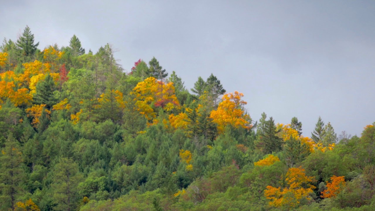 Feels Like Fall - YouTube