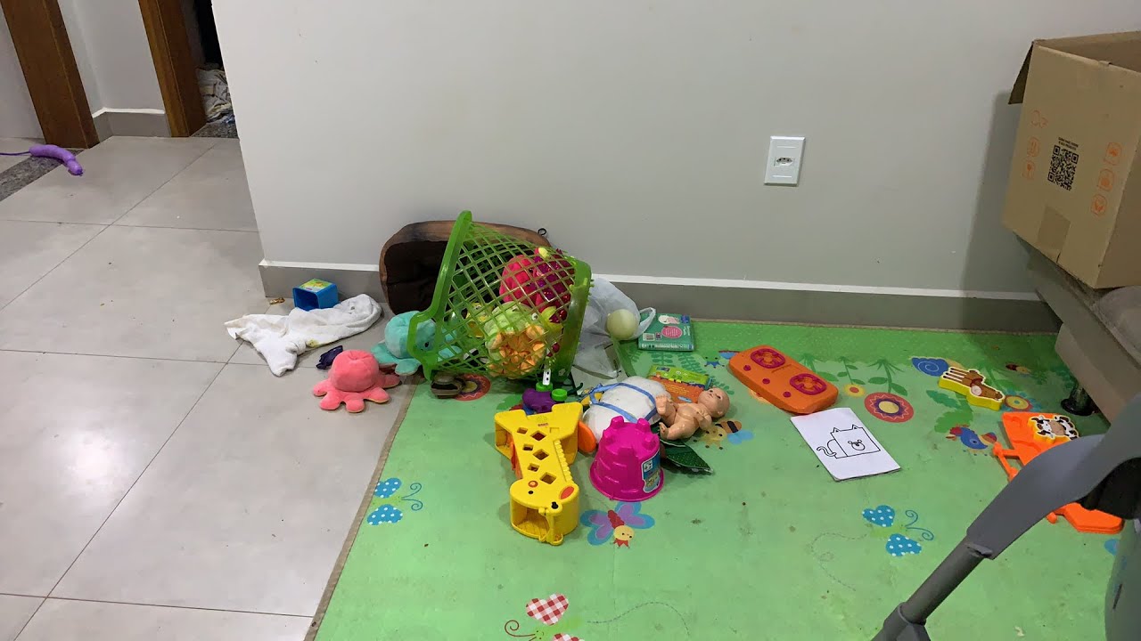 Living in Brazil ( my hobbies ) - YouTube