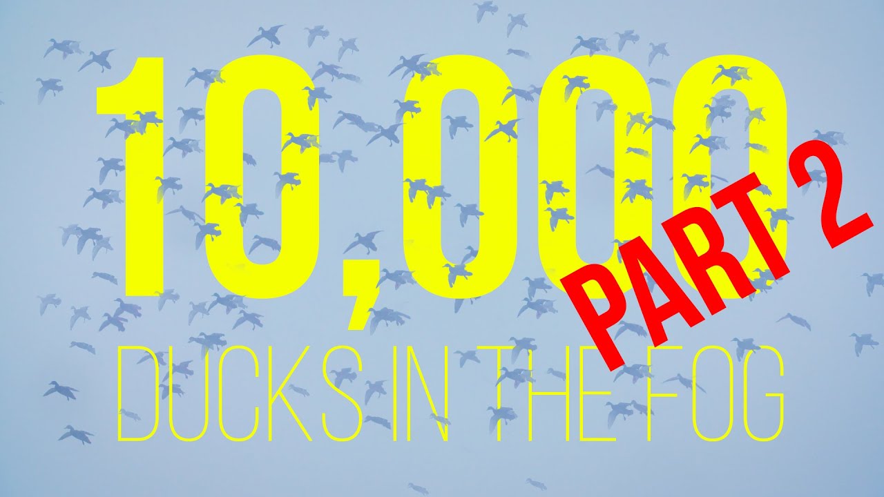 HIGDON OUTDOORS TV - 1009 - TRAILER - "10,000 Ducks in the Fog Part 2 ...