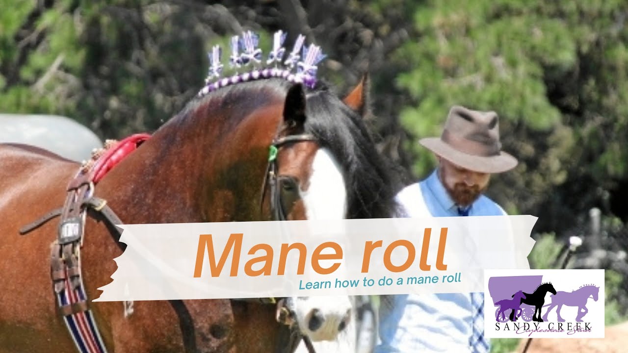 Learn how to do a basic mane roll - YouTube