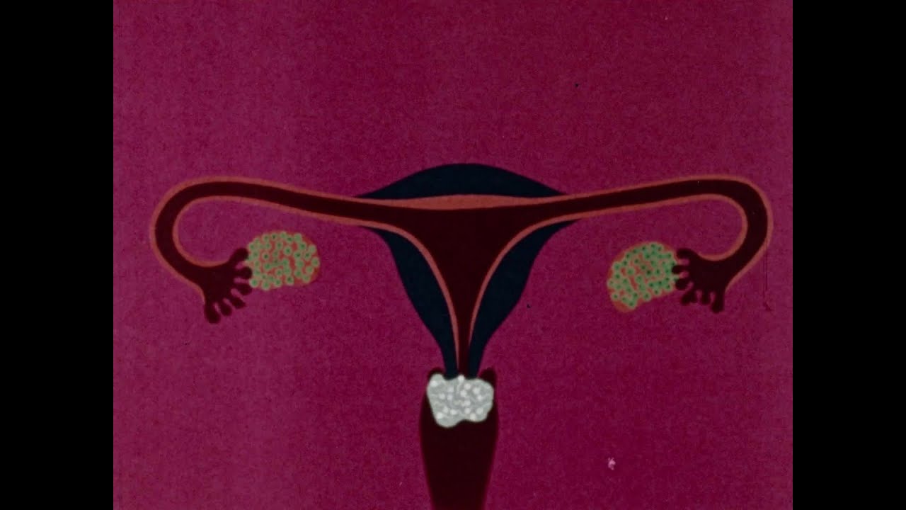About Conception and Contraception (National Film Board of Canada, 1972 ...