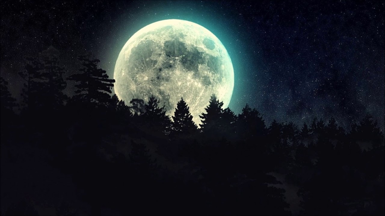 Night Ambience Loop | Free Sound Effects | Ambient Sounds - YouTube