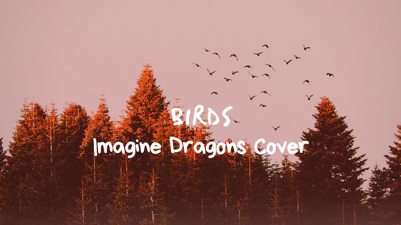 Imagine Dragons - Birds (instrumental Cover) - YouTube